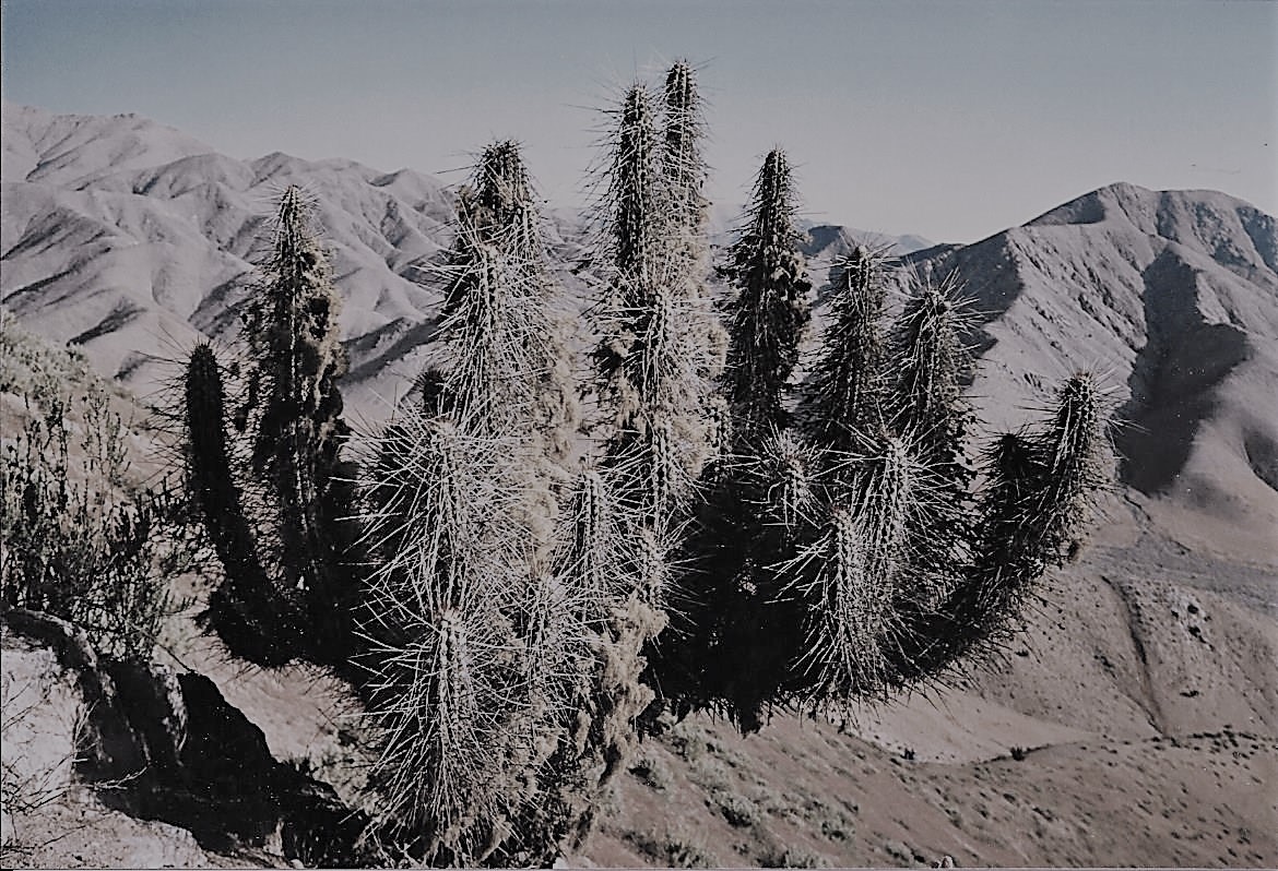 #19 Book of Judith – Merry and True